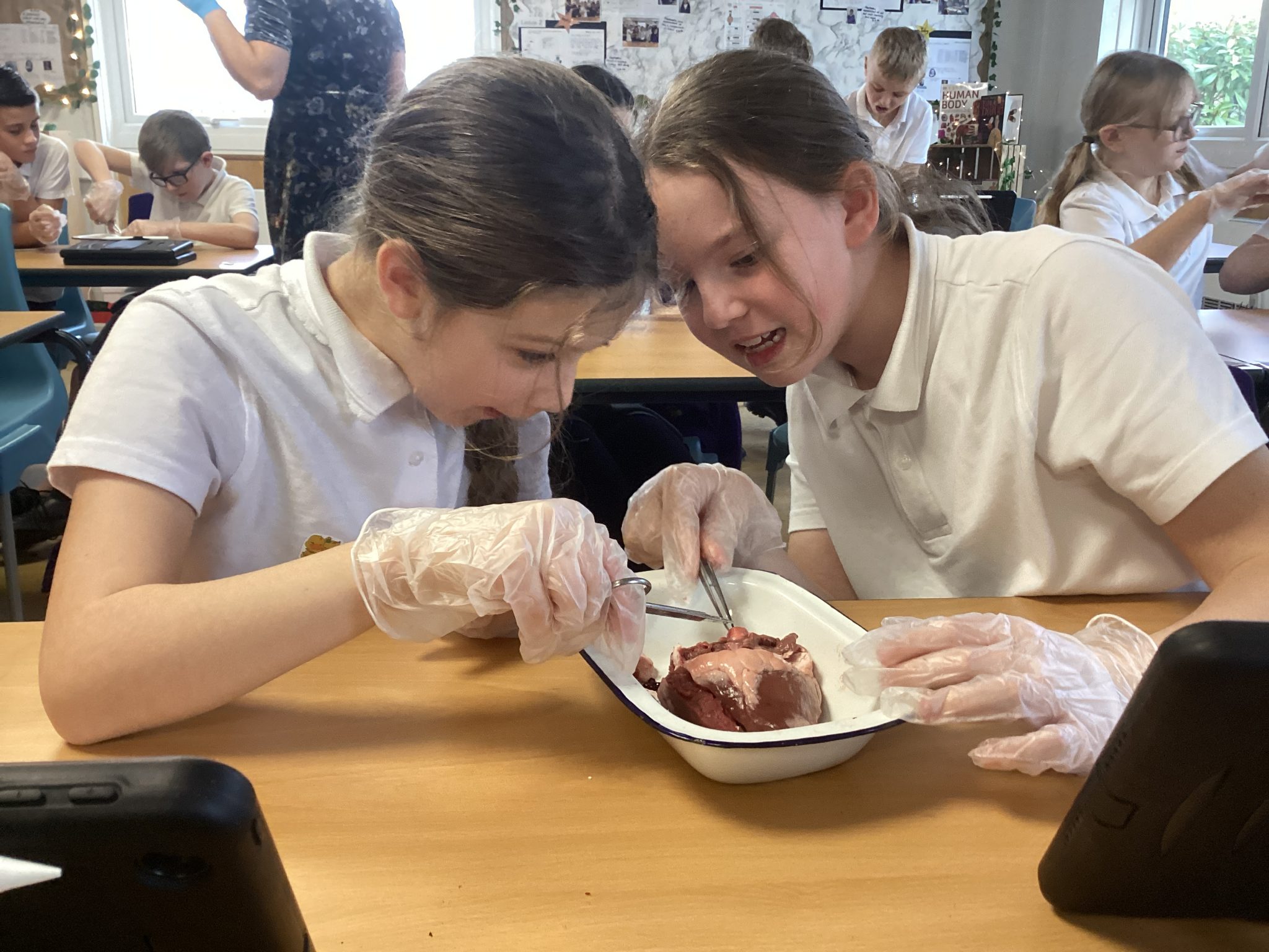 Headteacher’s Welcome | Ditton Lodge Primary School